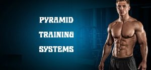 Pyramid Training Systems • Bodybuilding Wizard