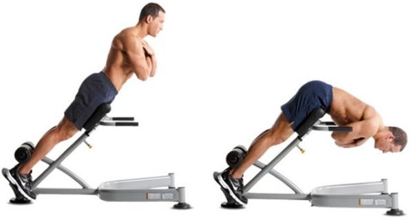 45-Degree Back Extension - Hyperextension • Bodybuilding Wizard