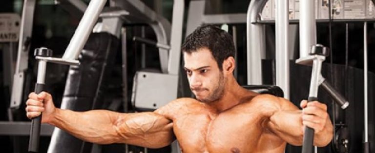 Machine Fly Exercise • Bodybuilding Wizard