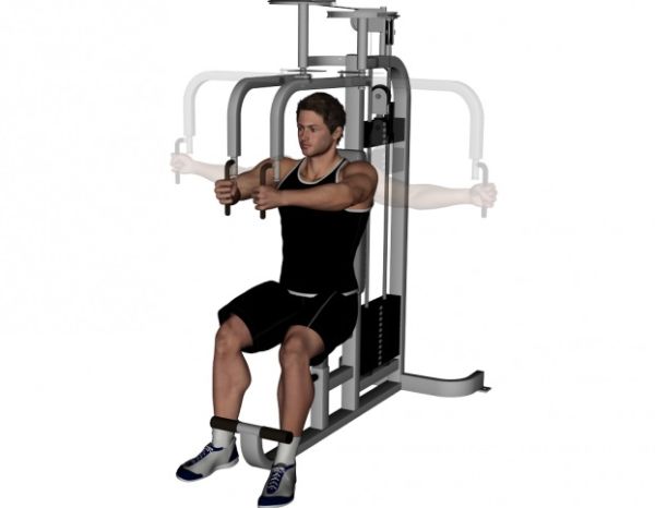 Machine Fly Exercise • Bodybuilding Wizard