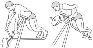 Supported T-Bar Row • Bodybuilding Wizard