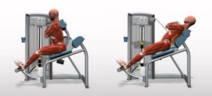 Machine Lower Back Extension • Bodybuilding Wizard