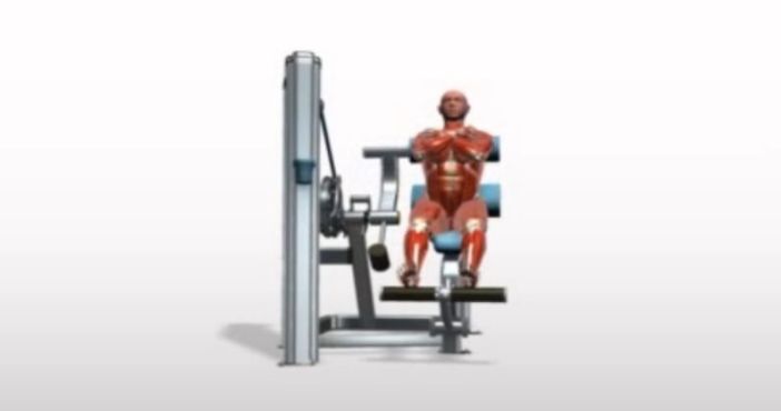 Machine Lumbar Extension • Bodybuilding Wizard