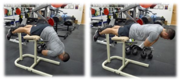 Roman Chair Back Extension • Bodybuilding Wizard