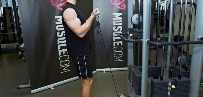 Standing Cable Curls - Pulley Curls • Bodybuilding Wizard