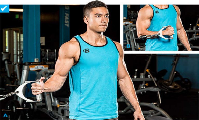 Cable Internal Rotation • Bodybuilding Wizard