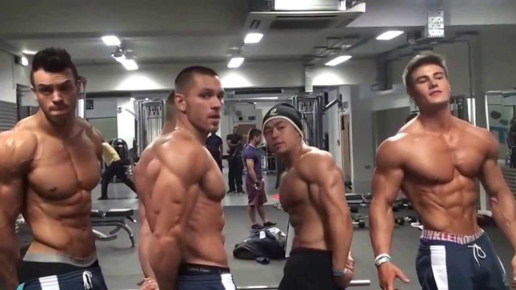 Aesthetic Muscles • Bodybuilding Wizard