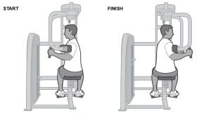 Machine Trunk Rotations • Bodybuilding Wizard