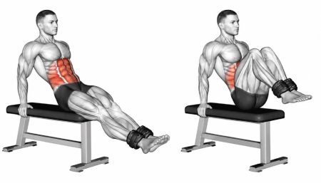 Weighted Seated Knee Tuck • Bodybuilding Wizard