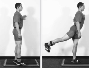 Standing Hip Extension • Bodybuilding Wizard