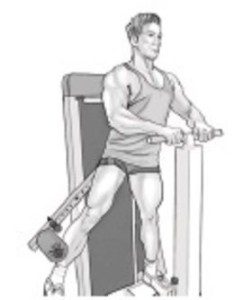 Standing Machine Hip Abduction • Bodybuilding Wizard