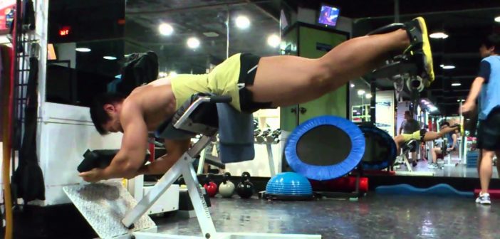 Lower back (erector spinae) Archives • Bodybuilding Wizard