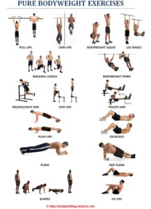 Bodyweight exercises poster-chart • Bodybuilding Wizard