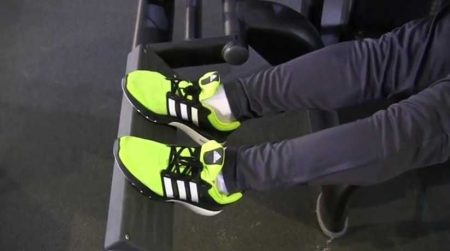 Rotary calf machine instructions • Bodybuilding Wizard