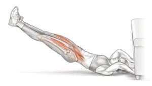 The dragon flag core exercise • Bodybuilding Wizard