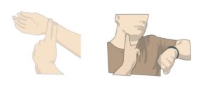 measuring heart rate: wrist and neck • Bodybuilding Wizard