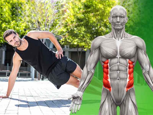 Exercises for strengthening external and internal oblique muscles ... Exercises for strengthening external and internal oblique muscles ...