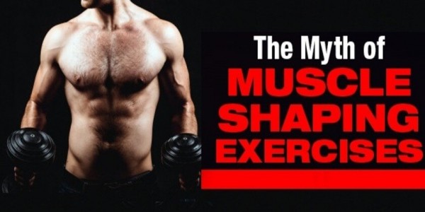 Can we change the shape of our muscles? • Bodybuilding Wizard