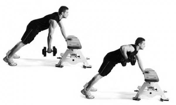 Renegade Row Exercise Tutorial • Bodybuilding Wizard