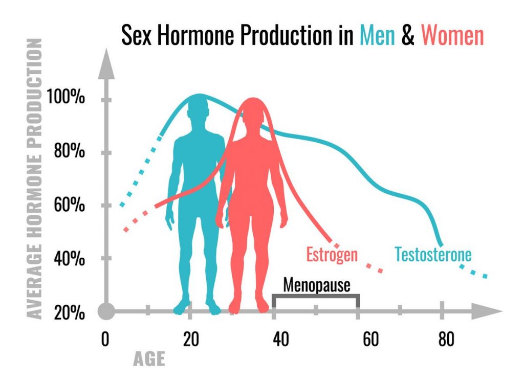Anatomical variations between male and female bodies and their impact ...