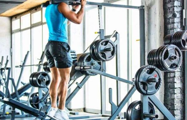 Gastrocnemius Muscle: Functional Anatomy Guide • Bodybuilding Wizard