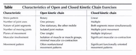 Closed and Open Kinetic Chain Exercises • Bodybuilding Wizard