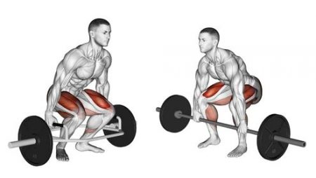 Trap Bar Deadlift Vs. Barbell Deadlift — Differences and Similarities ...