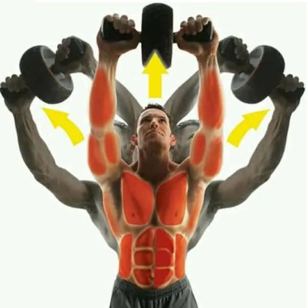 Ab Wheel: A Small Device for Big Results • Bodybuilding Wizard