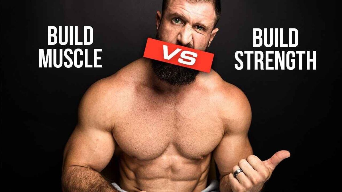 Muscular Strength | How Does a Muscle Gain Strength? • Bodybuilding Wizard
