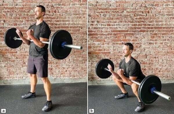 Zercher Squat Exercise Guide • Bodybuilding Wizard