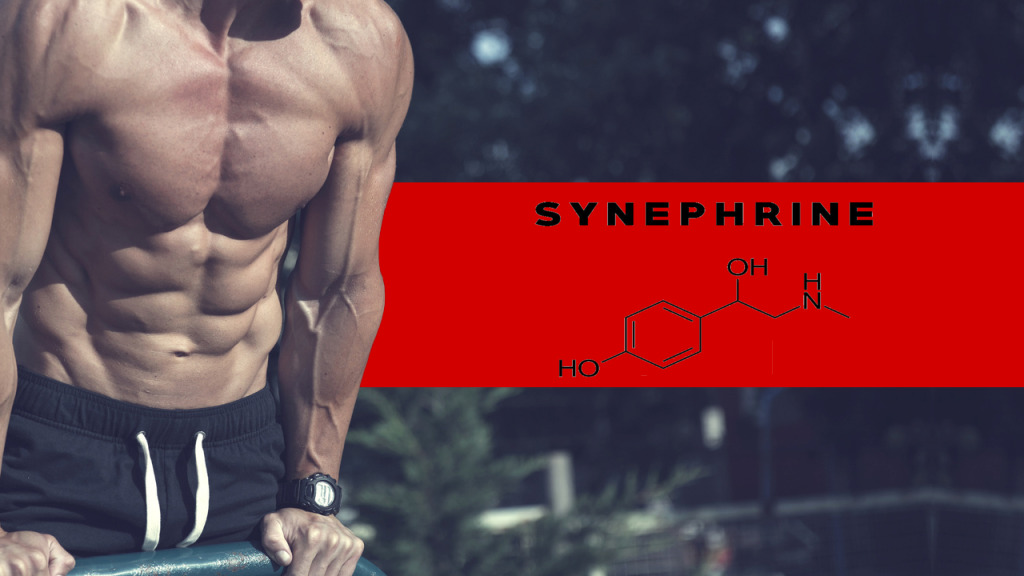 Synephrine as a fat-loss supplement • Bodybuilding Wizard
