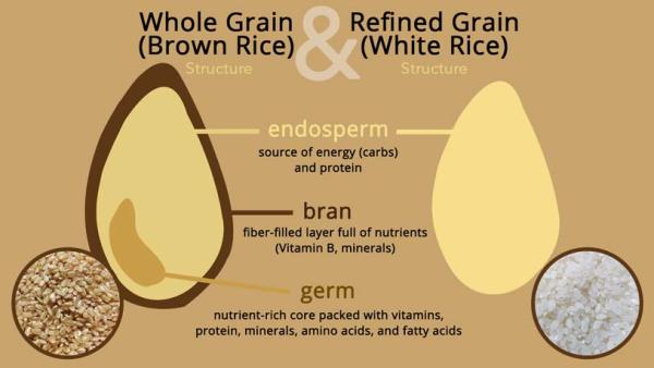 White Rice Vs. Brown Rice for Building Muscles and Losing Weight ...