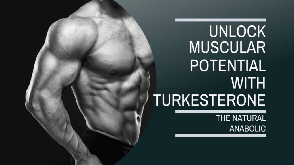 Turkesterone: The Natural Edge in Muscle Building • Bodybuilding Wizard