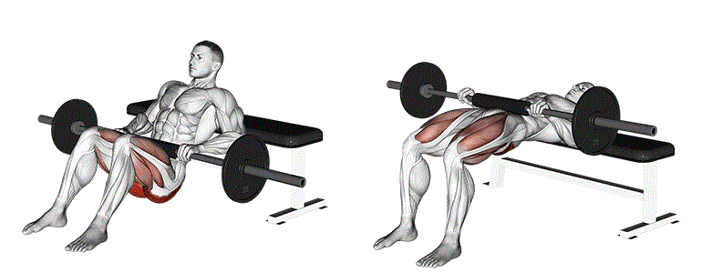 Best Glute & Hip Exercises: Complete Guide for Strength, Muscle & Stability