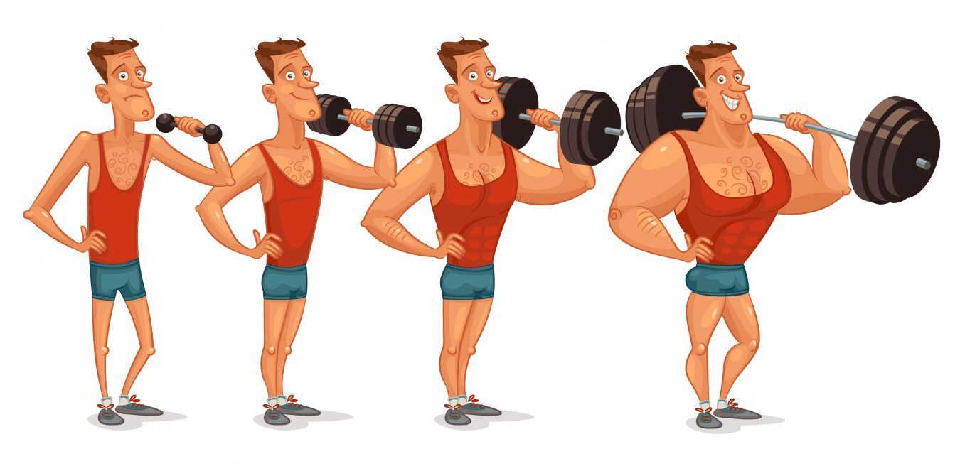 How Long Does It Take to Build Muscle? Exploring the Timeframe for ...