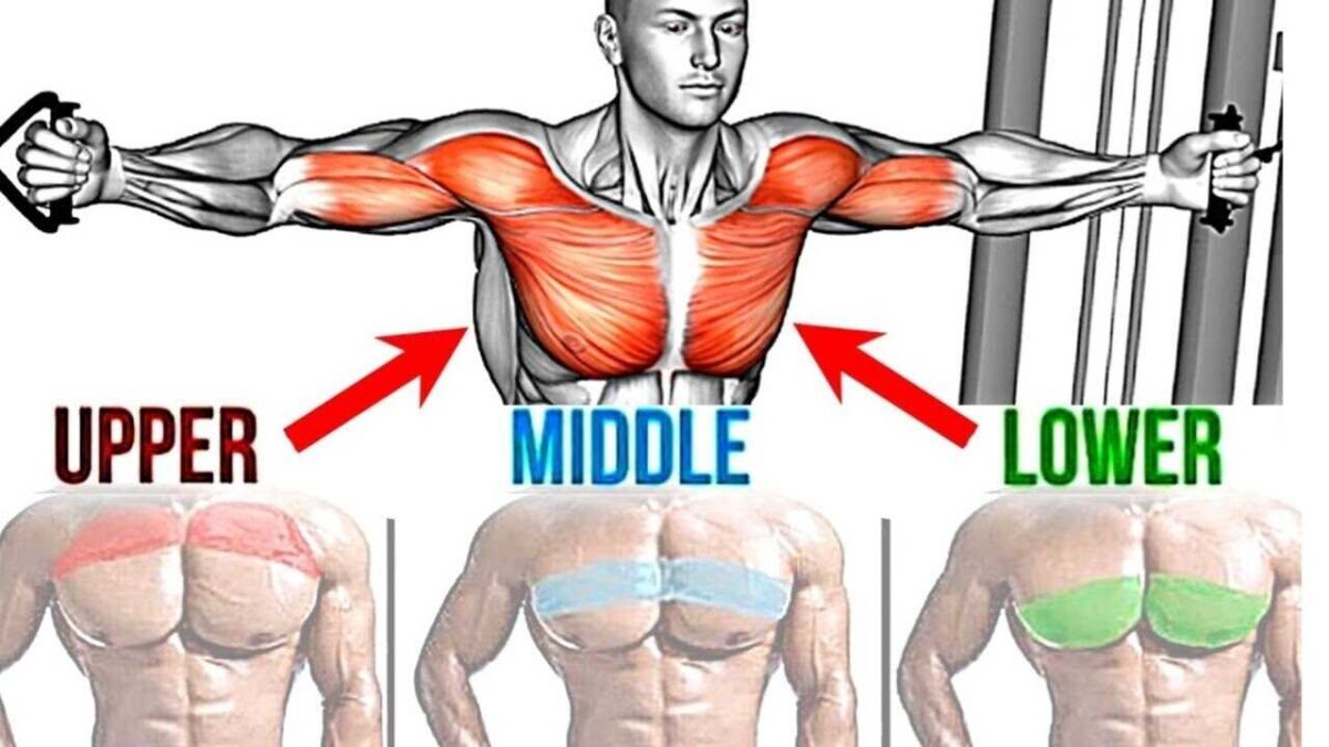 The most effective middle chest exercises • Bodybuilding Wizard