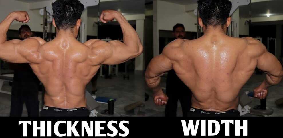 Best Exercises for Developing Back Thickness • Bodybuilding Wizard