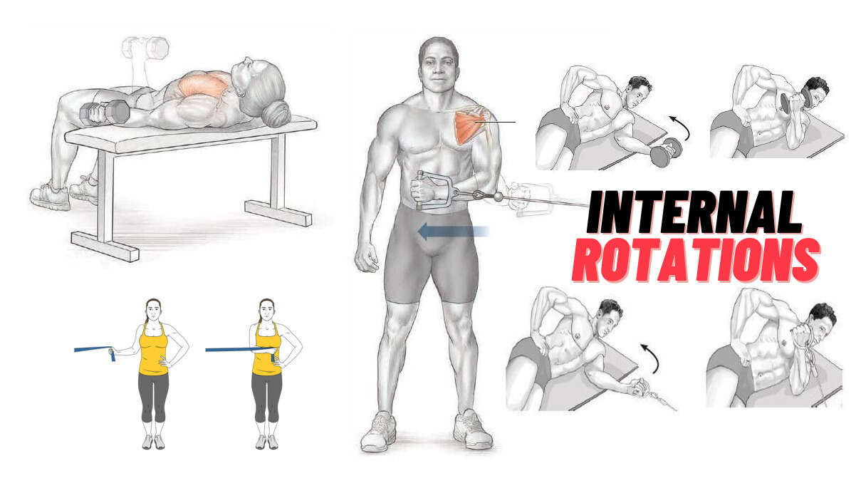 Meet the subscapularis: the largest & most powerful muscle of the ...
