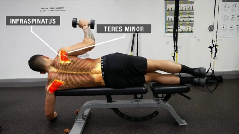Teres Minor Muscle: Functional Anatomy Guide • Bodybuilding Wizard