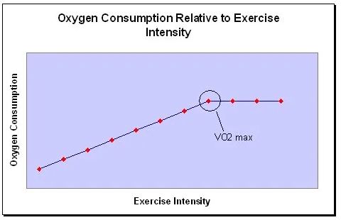 The Art of Oxygen Utilization: An In-depth Look at VO2 Max and its ...