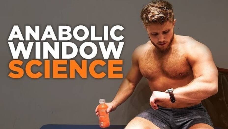 The Concept of the Anabolic Window in Bodybuilding: Scientific Fact or ...