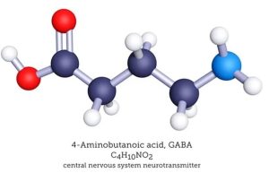 Uncovering GABA: Benefits, Dosages, and Effects on Athletes ...