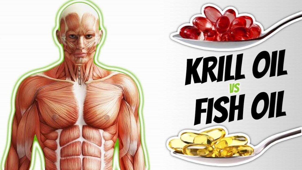 The Athlete's Guide to Krill Oil: Benefits, Dosage, and Side Effects ...