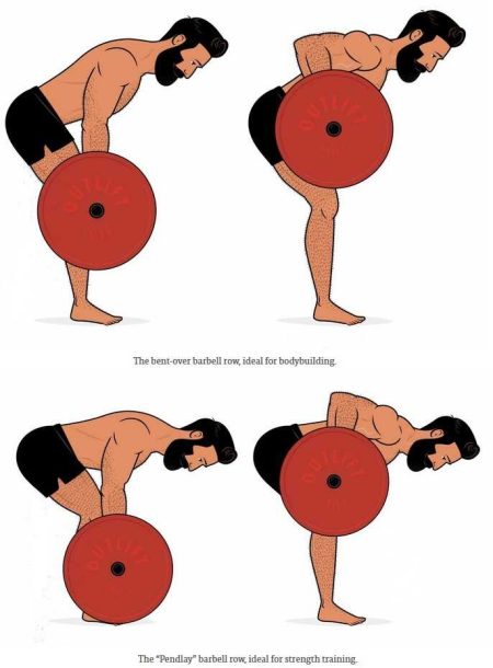 The Ultimate Pendlay Row Guide: Step-by-Step Instructions, Muscle ...