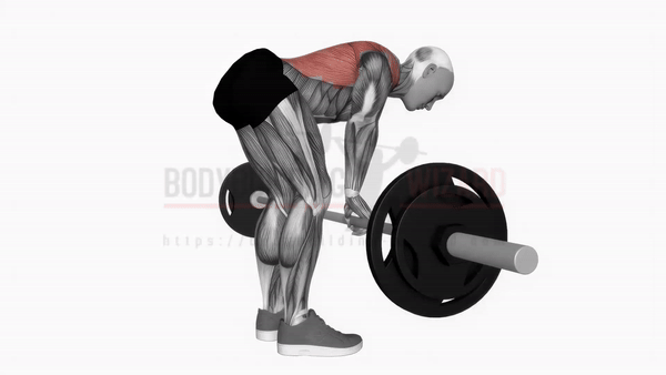 Top Erector Spinae (Lower Back) Strengthening Exercises • Bodybuilding ...