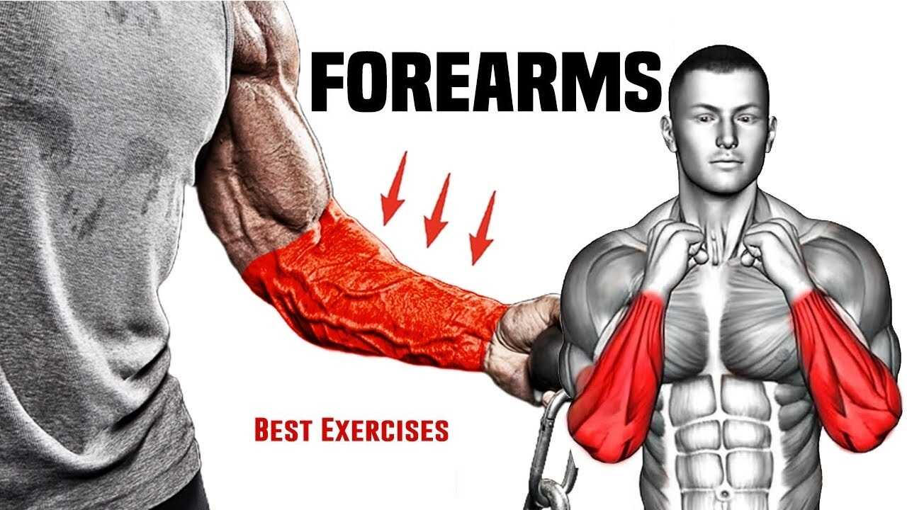 The Best Exercises for Massive and Powerful Forearms • Bodybuilding Wizard