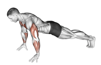 The Best Exercises for Massive and Powerful Forearms • Bodybuilding Wizard