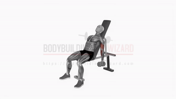 The Best Exercises for Massive and Powerful Forearms • Bodybuilding Wizard