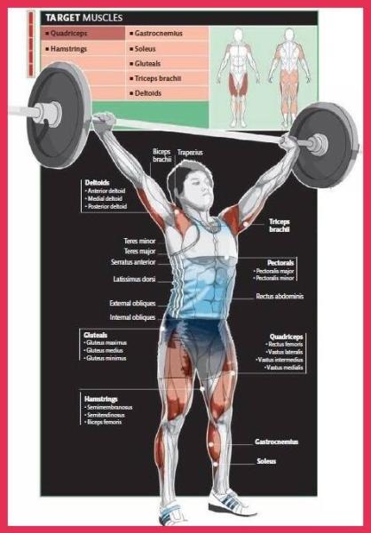 The Ultimate Overhead Squat Guide: Technique, Benefits, Variations ...