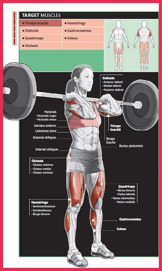 Complete Guide to Barbell Push Press Exercise • Bodybuilding Wizard